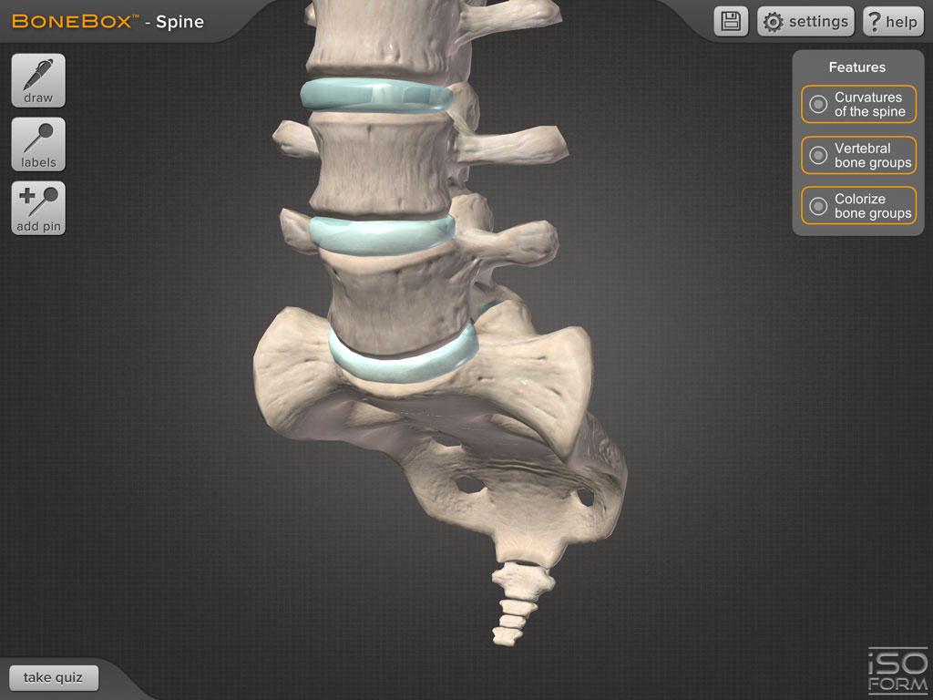 BoneBox™ - Spine Viewer