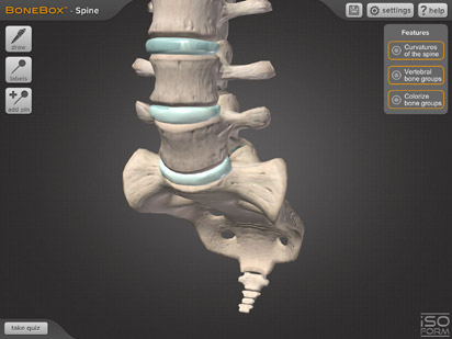 BoneBox™ - Spine Viewer